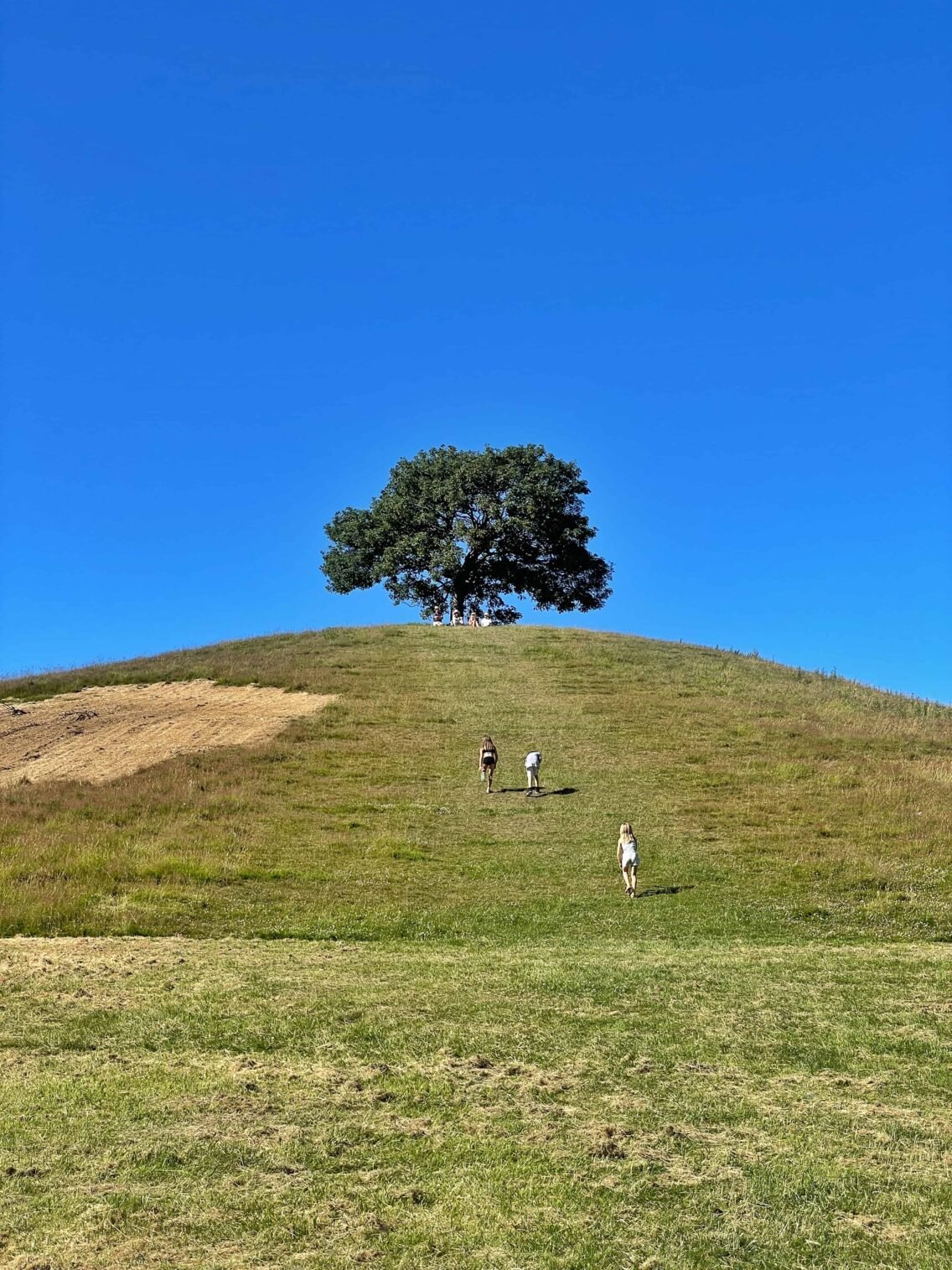 33 Free things to do in Somerset - Down Somerset Way