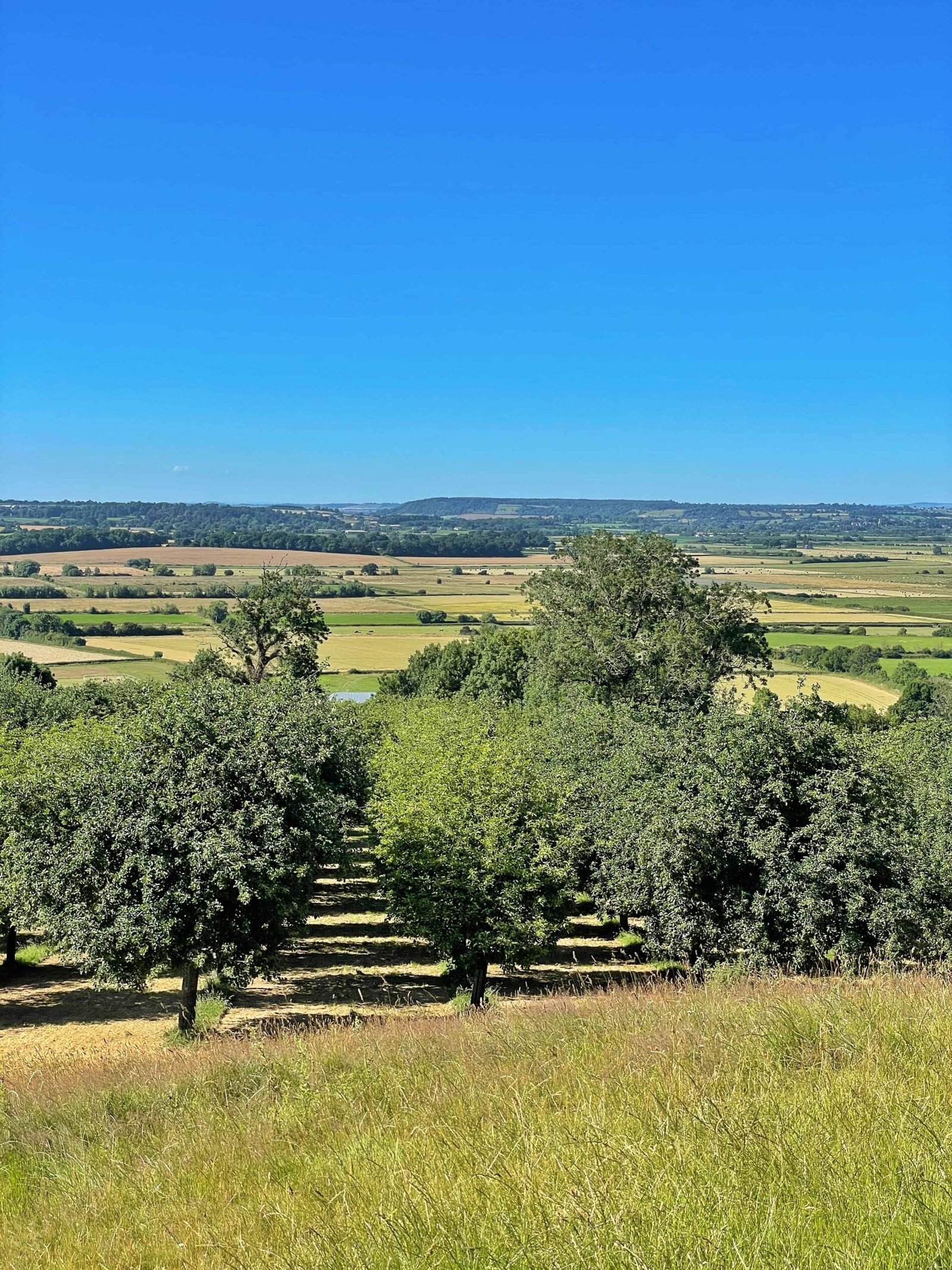 33 Free things to do in Somerset - Down Somerset Way