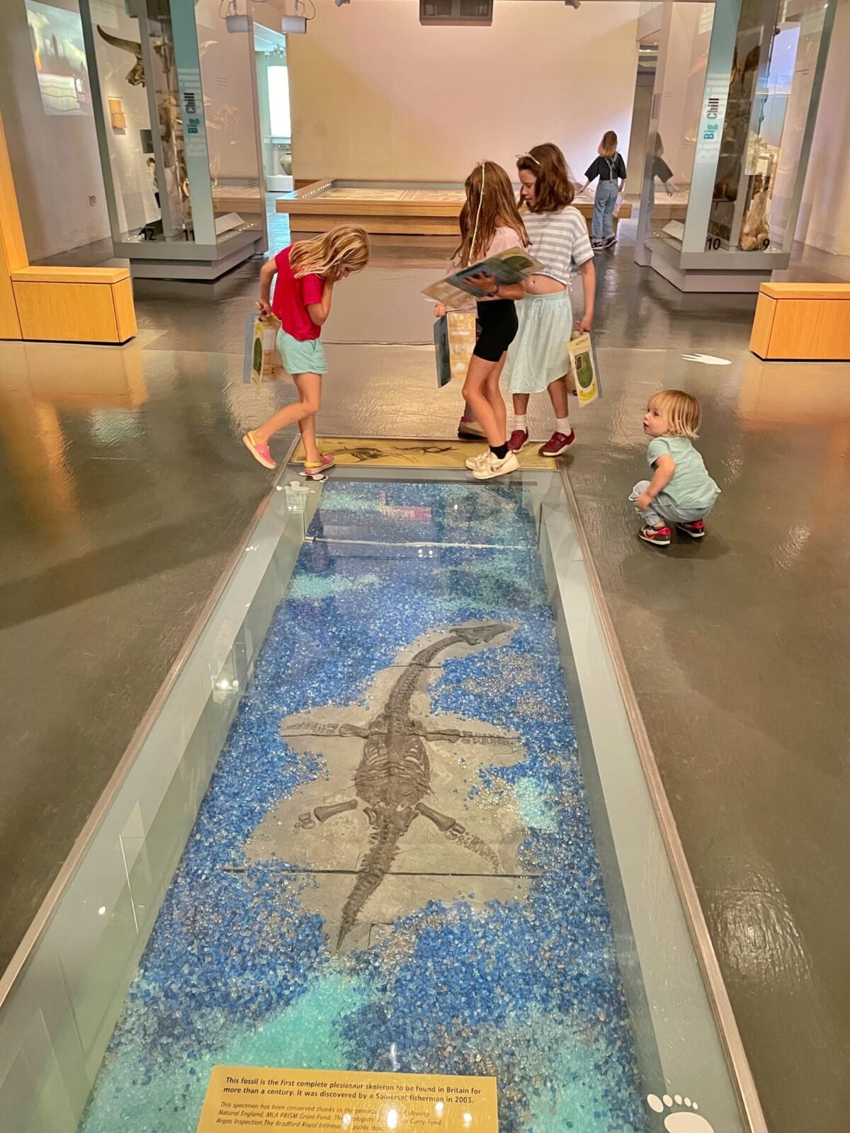 20 Rainy day indoor activities in Somerset - Down Somerset Way