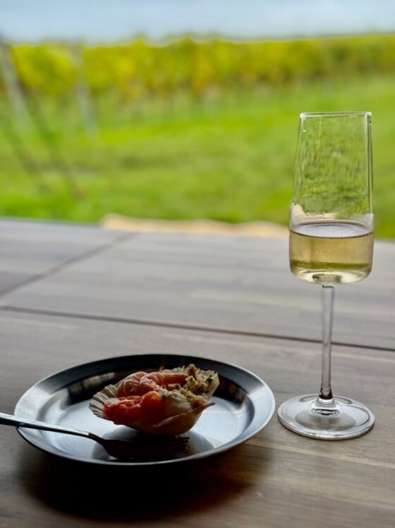 9 Vineyards in Somerset to go wine tasting - Down Somerset Way