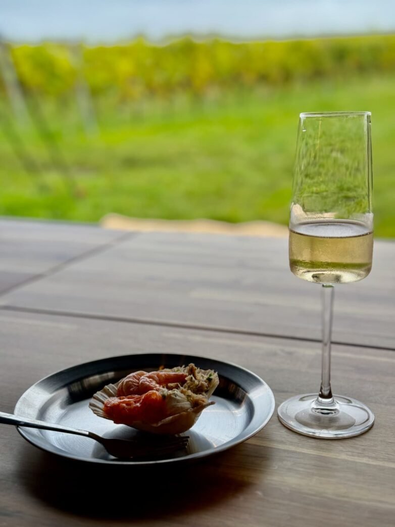 9 Vineyards in Somerset to go wine tasting - Down Somerset Way