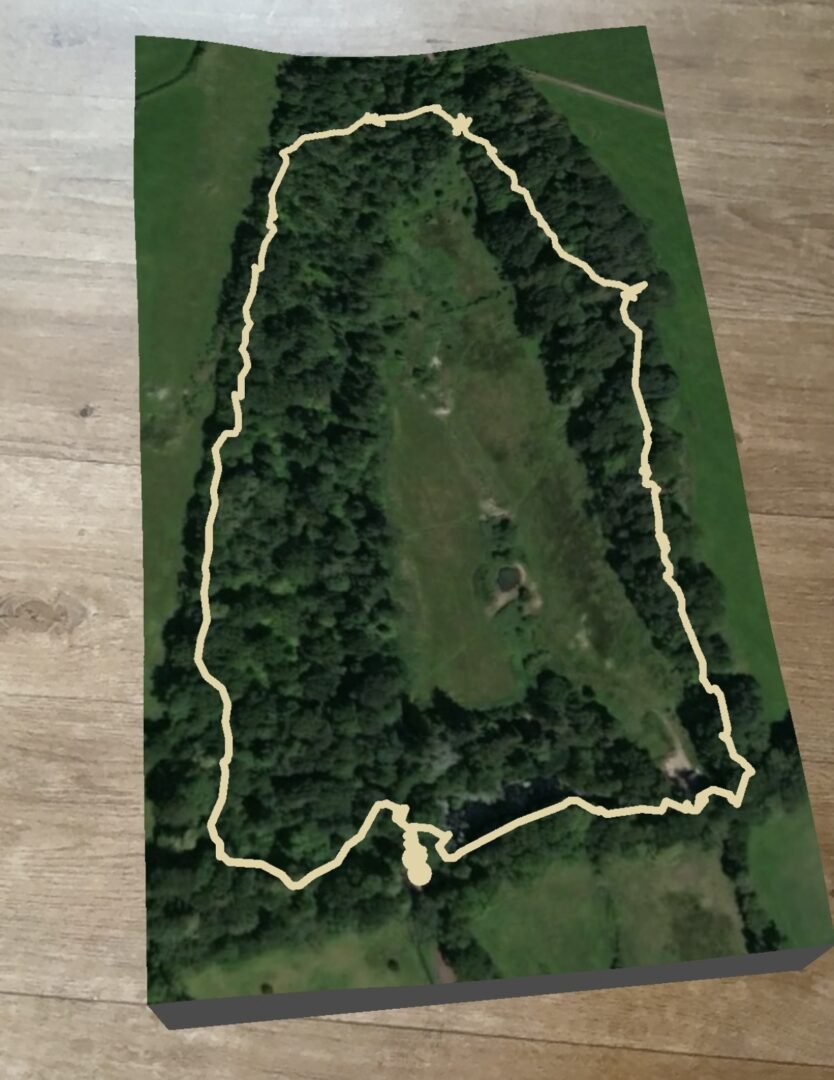 Wayford Woods easy circular walk, 1.1 miles - Down Somerset Way