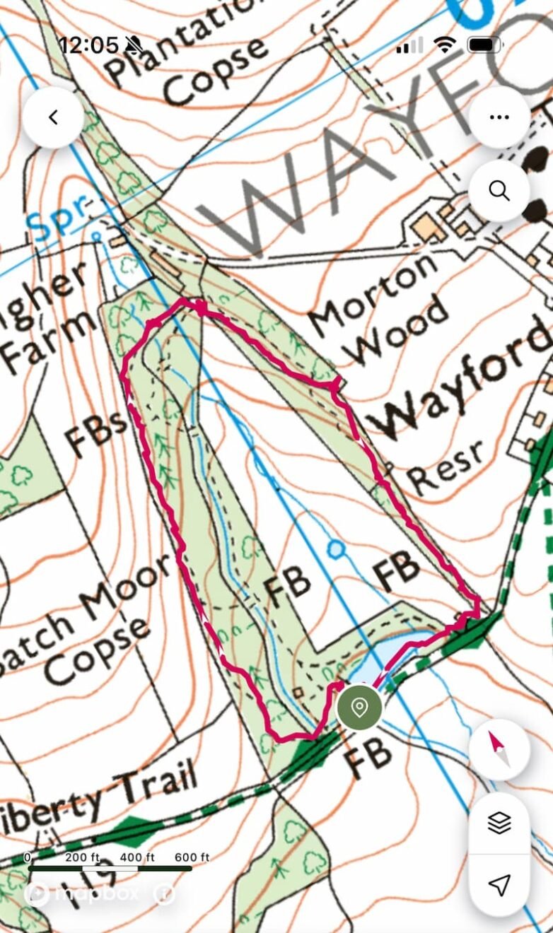 Wayford Woods easy circular walk, 1.1 miles - Down Somerset Way