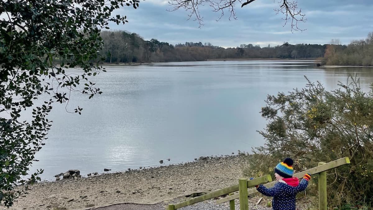 Chard reservoir circular walk, 2.5 miles - Down Somerset Way