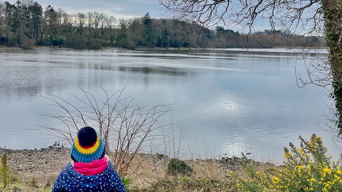 Chard reservoir circular walk, 2.5 miles - Down Somerset Way