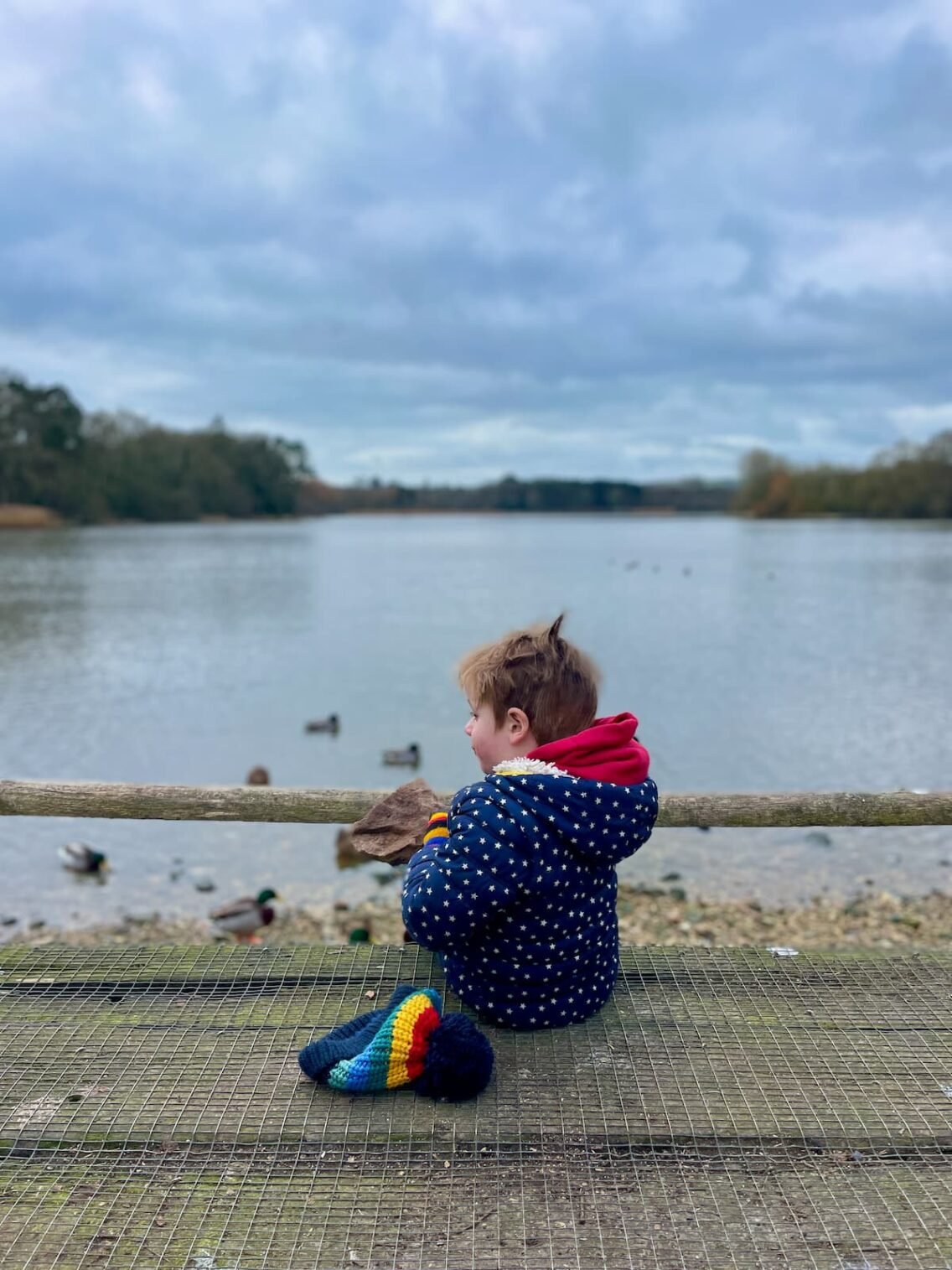 Chard reservoir circular walk, 2.5 miles - Down Somerset Way