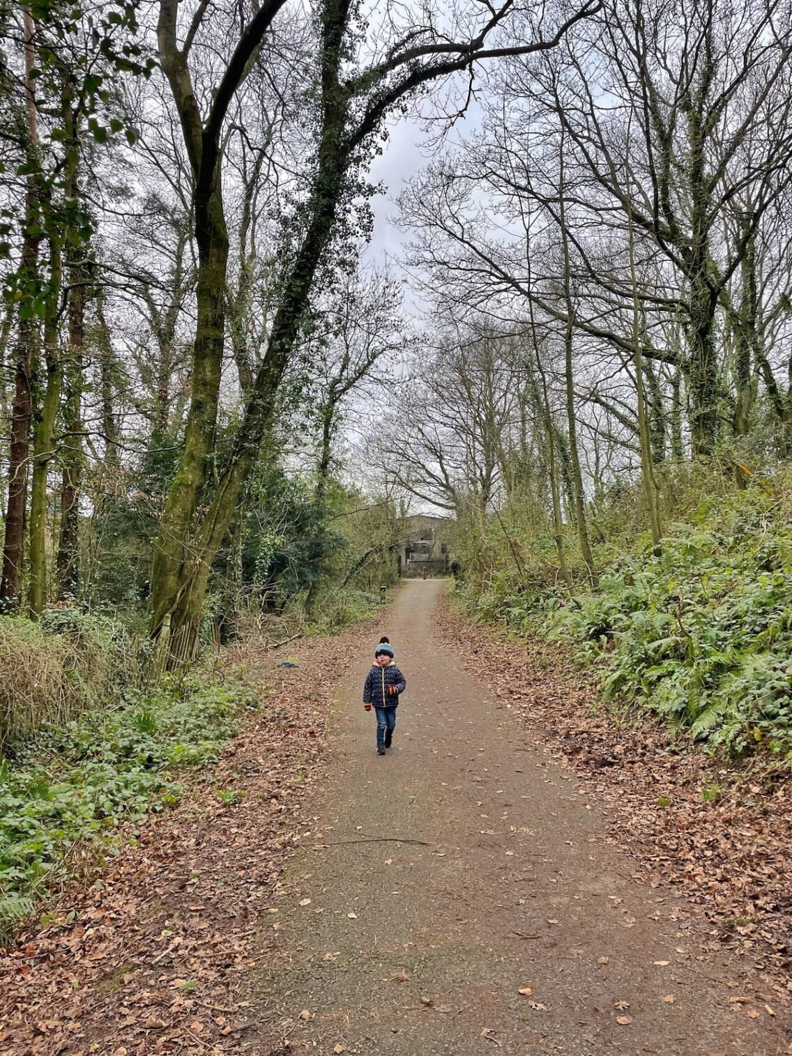 Chard reservoir circular walk, 2.5 miles - Down Somerset Way