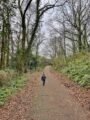Chard reservoir circular walk, 2.5 miles - Down Somerset Way