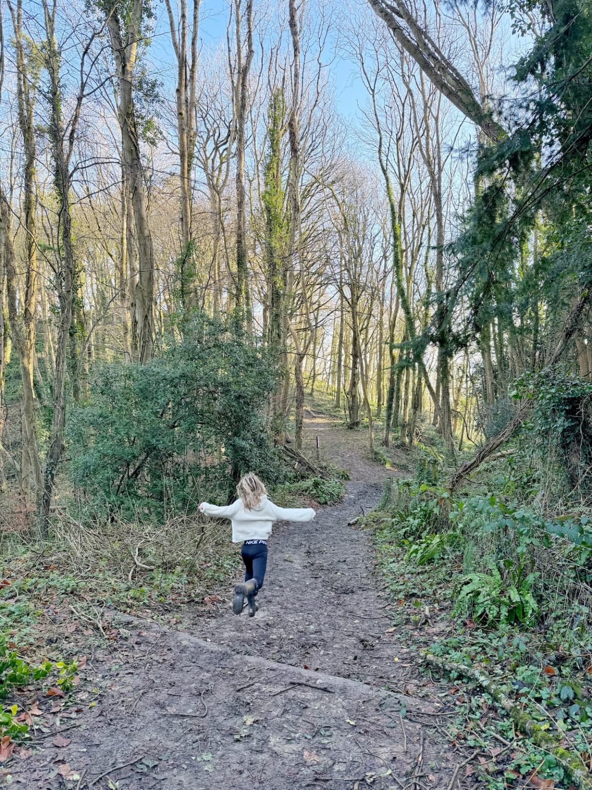 Ham Hill Country Park circular walk, via St Michael’s Hill 2.3 miles ...