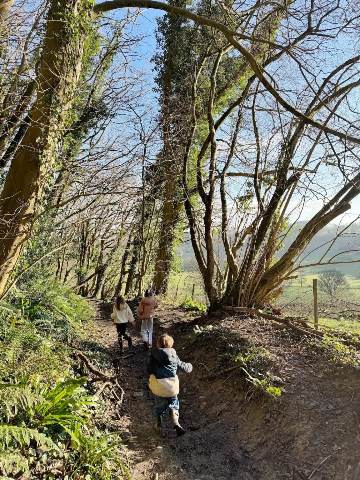 Ham Hill Country Park circular walk, via St Michael’s Hill 2.3 miles ...