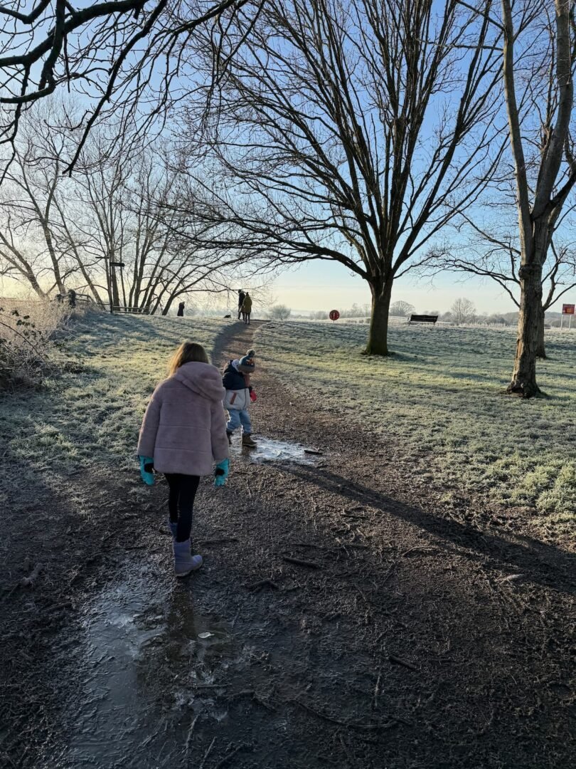 River Parrett Trail Langport walk 3.4 miles (circular) - Down Somerset Way