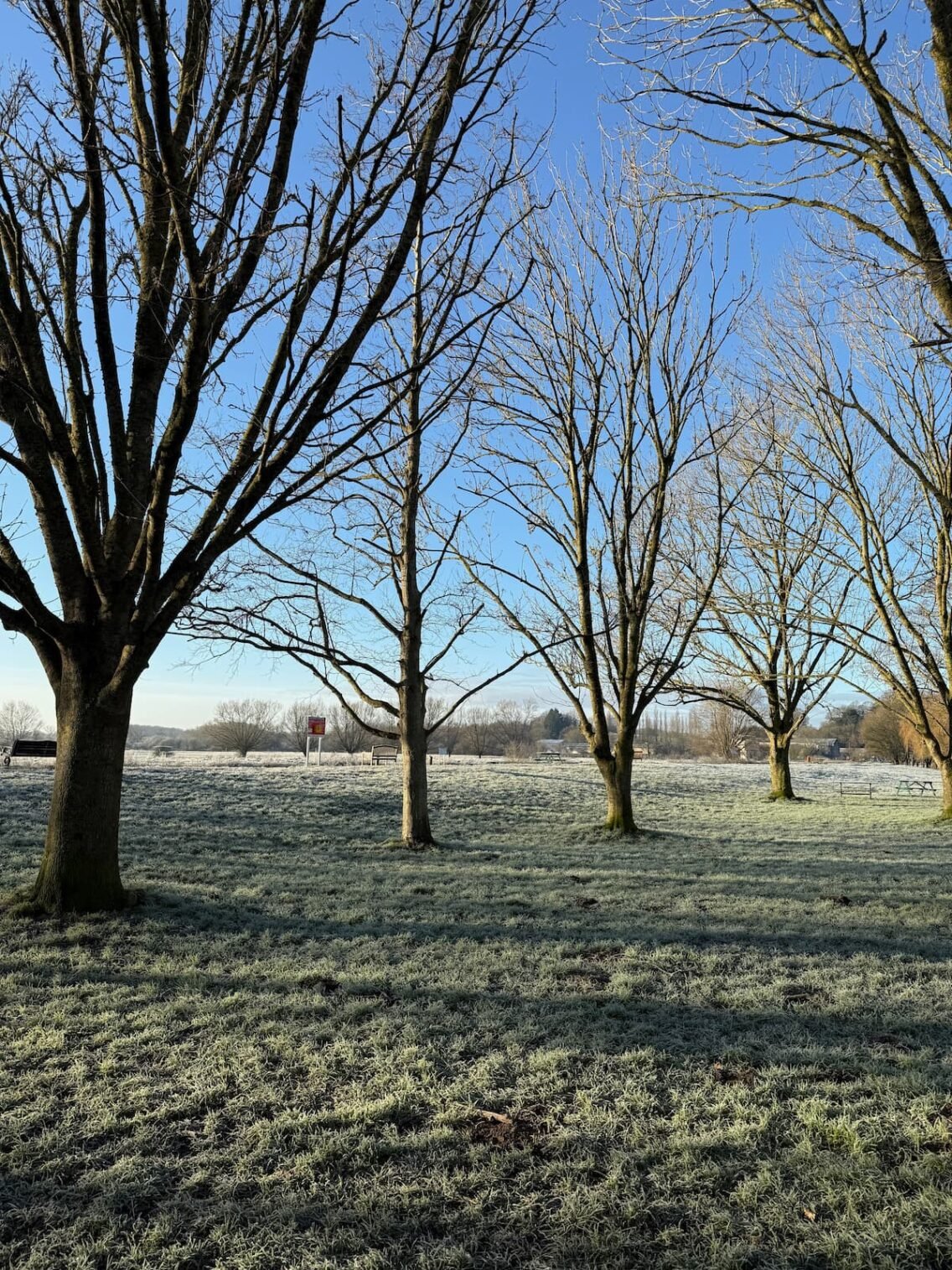 River Parrett Trail Langport walk 3.4 miles (circular) - Down Somerset Way