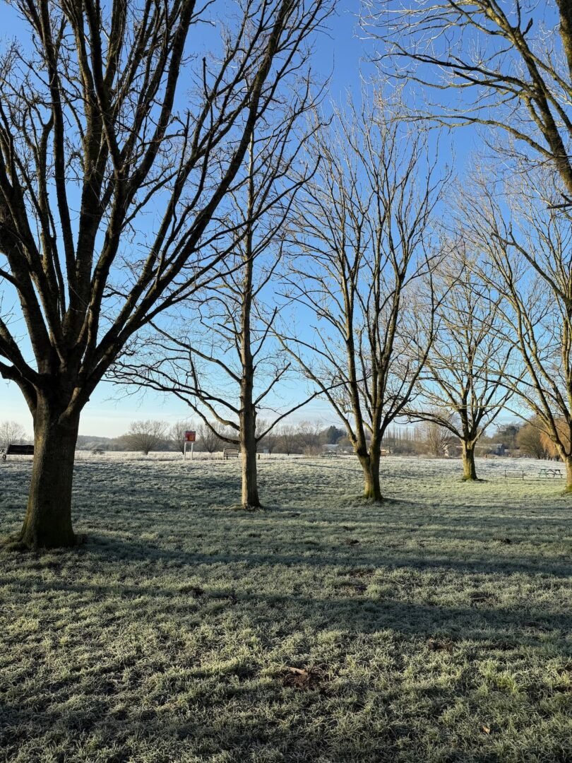 River Parrett Trail Langport walk 3.4 miles (circular) - Down Somerset Way