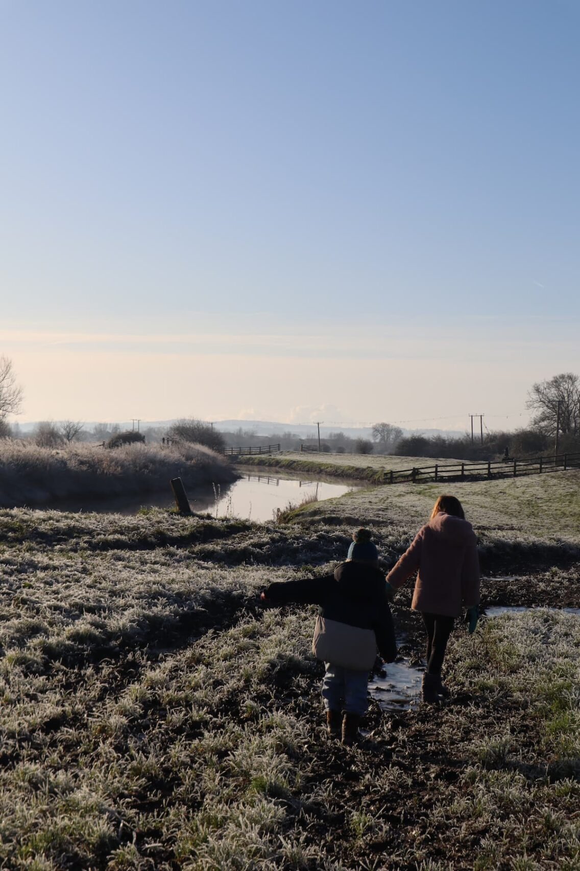River Parrett Trail Langport walk 3.4 miles (circular) - Down Somerset Way